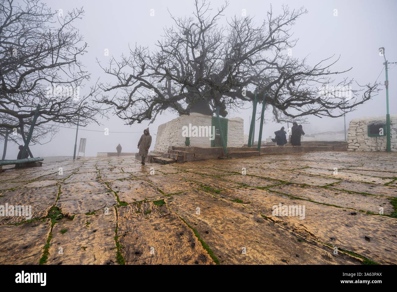 Tomb and shrine of Moulay Abdeslam ben Mchich, Moroccan Sufi saint ...
