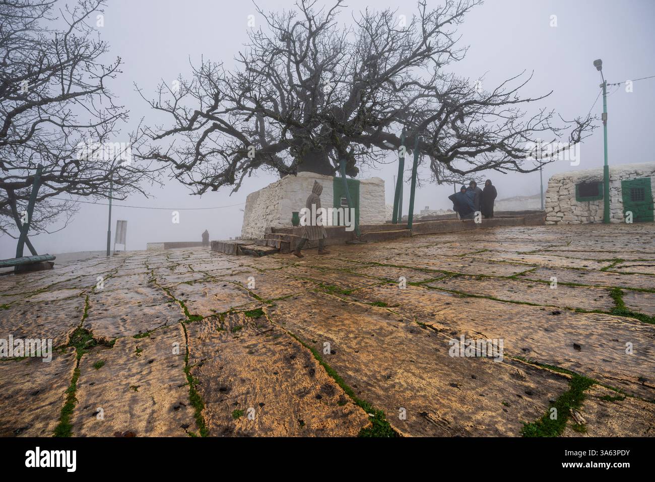 Tomb and shrine of Moulay Abdeslam ben Mchich, Moroccan Sufi saint ...