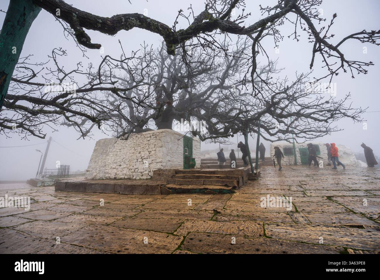Tomb and shrine of Moulay Abdeslam ben Mchich, Moroccan Sufi saint ...