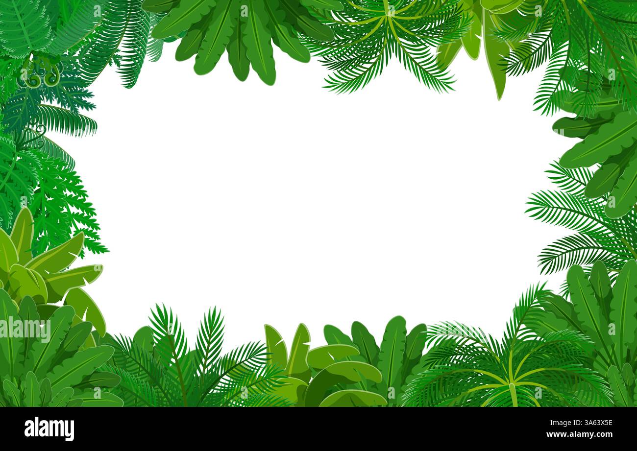 Jungle forest frame of tropical palm leaves and green plants, vector ...