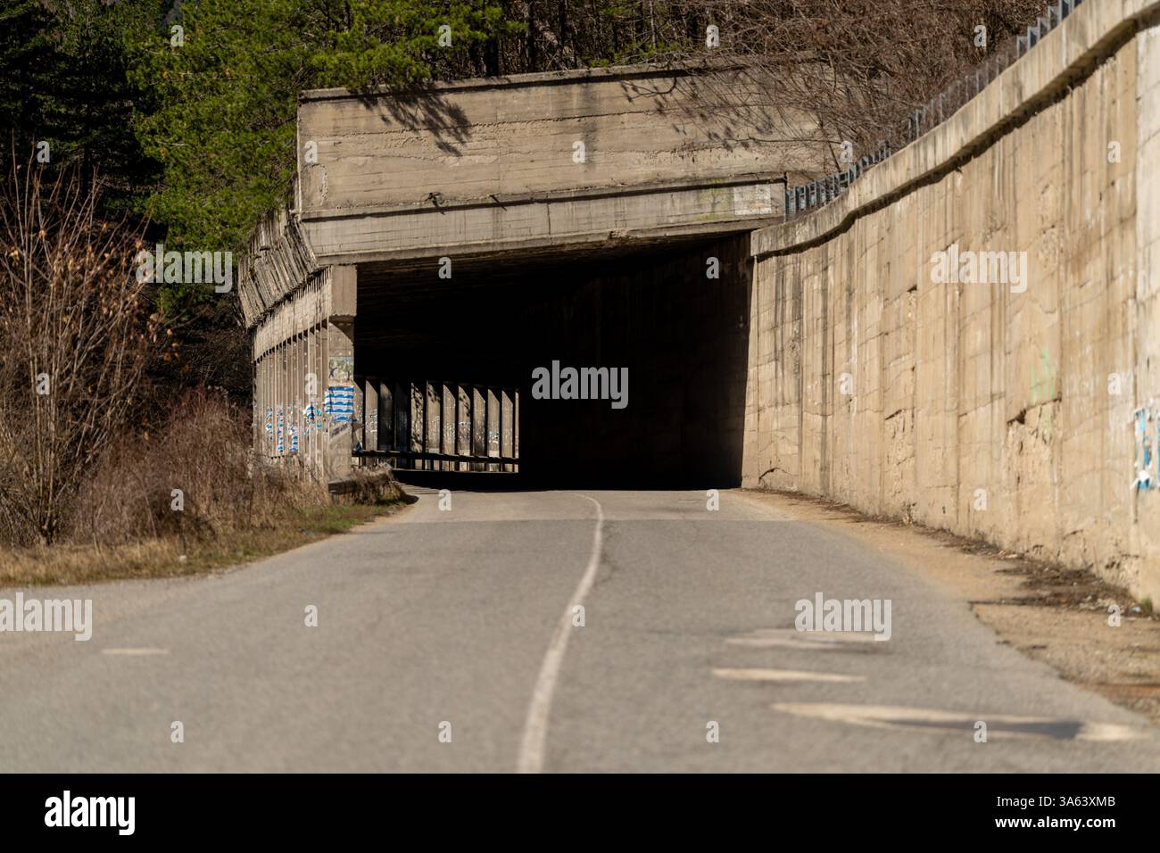 Concrete bridge over narrow asphalt road passing through a forest ...