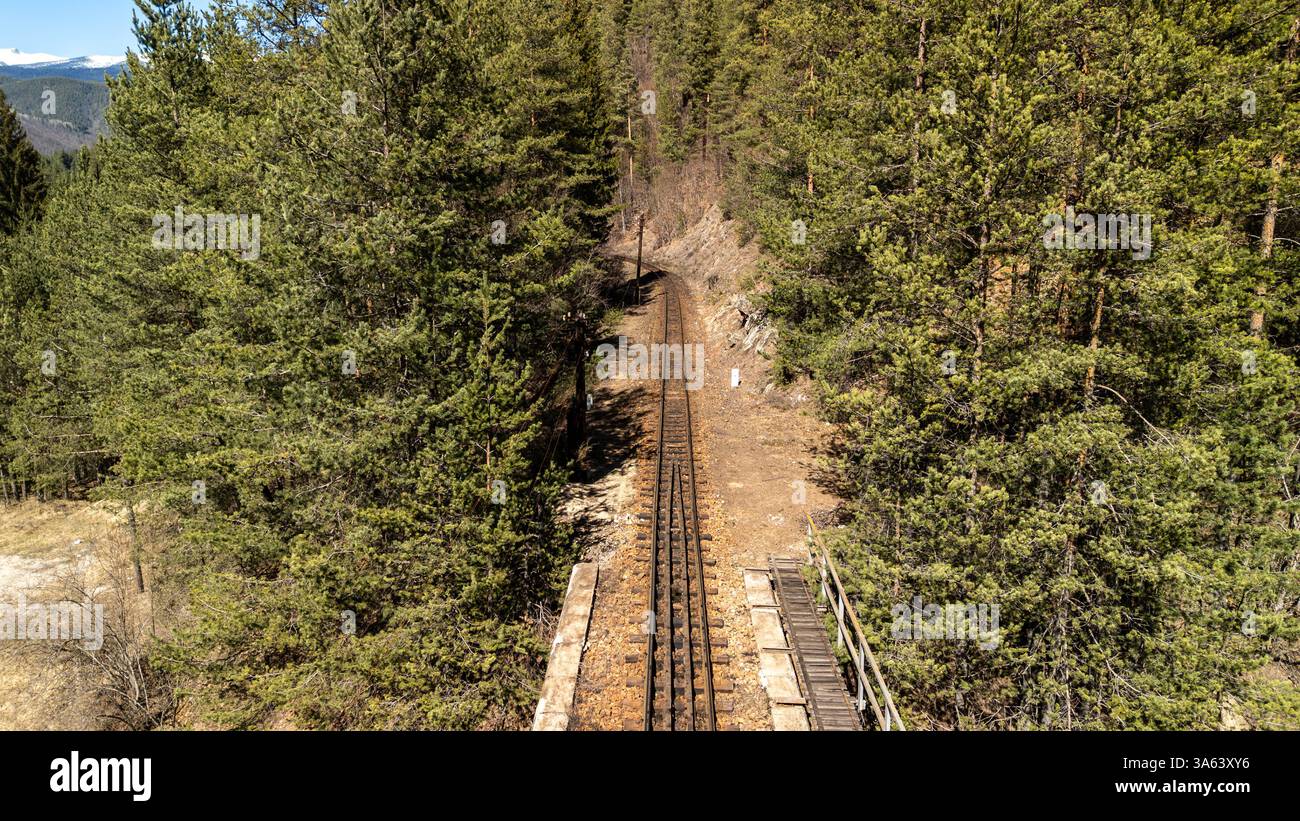 Narrow gauge railway track disappearing into a dense pine forest in a mountain valley ...