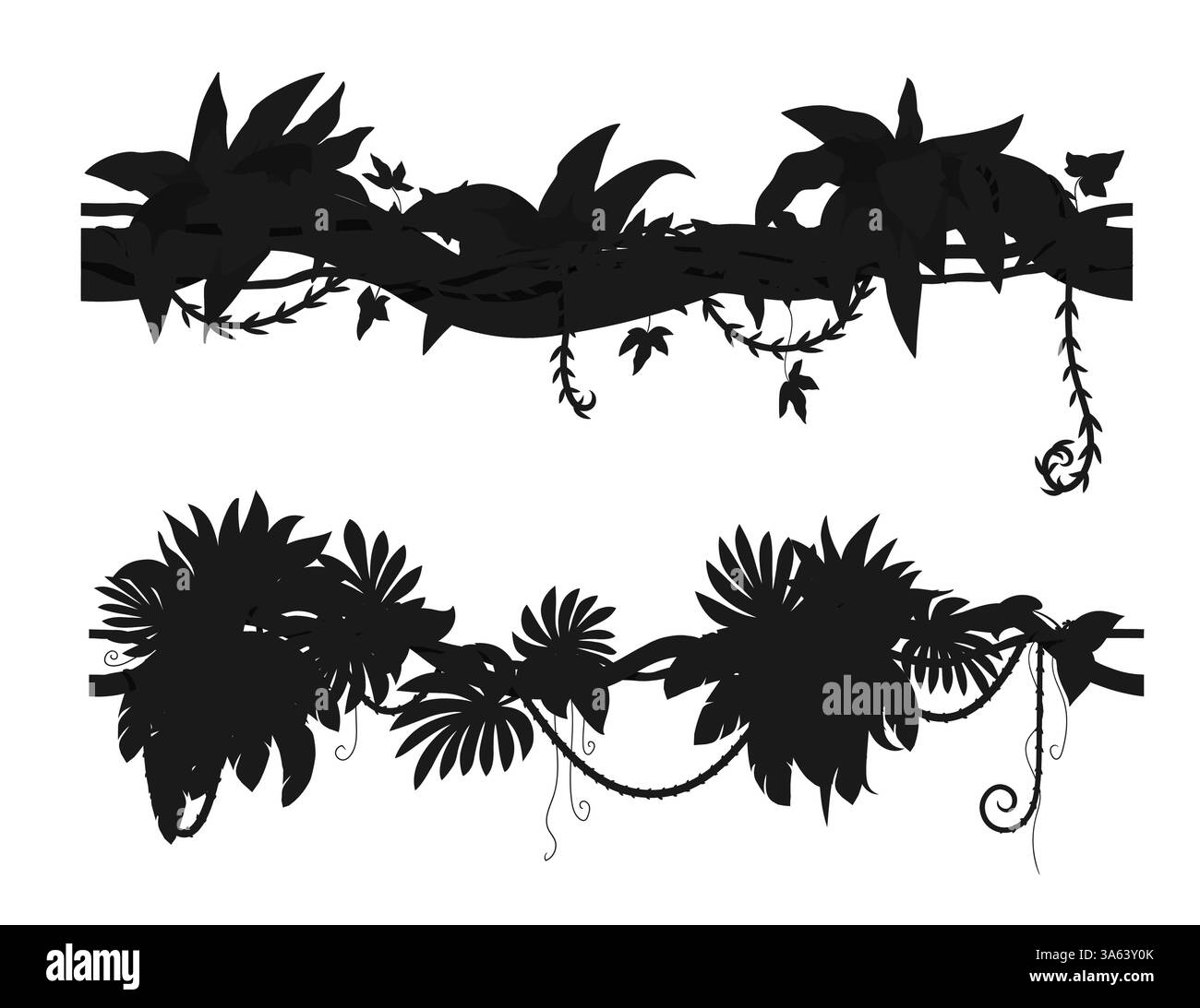 Amazon rainforest jungle creeper liana branch silhouette. Amazon ...
