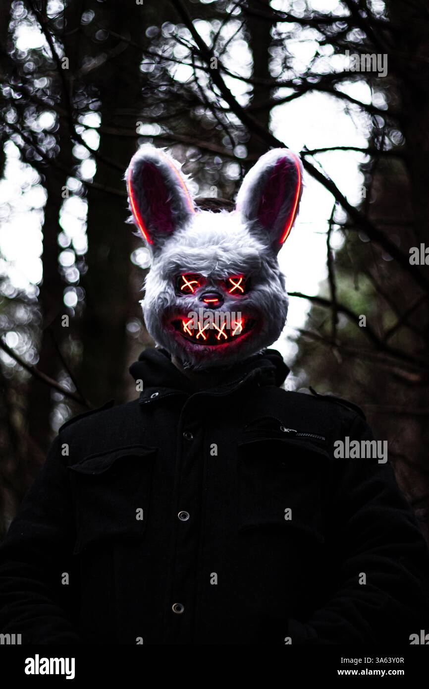 Terrifying bunny hi-res stock photography and images - Alamy
