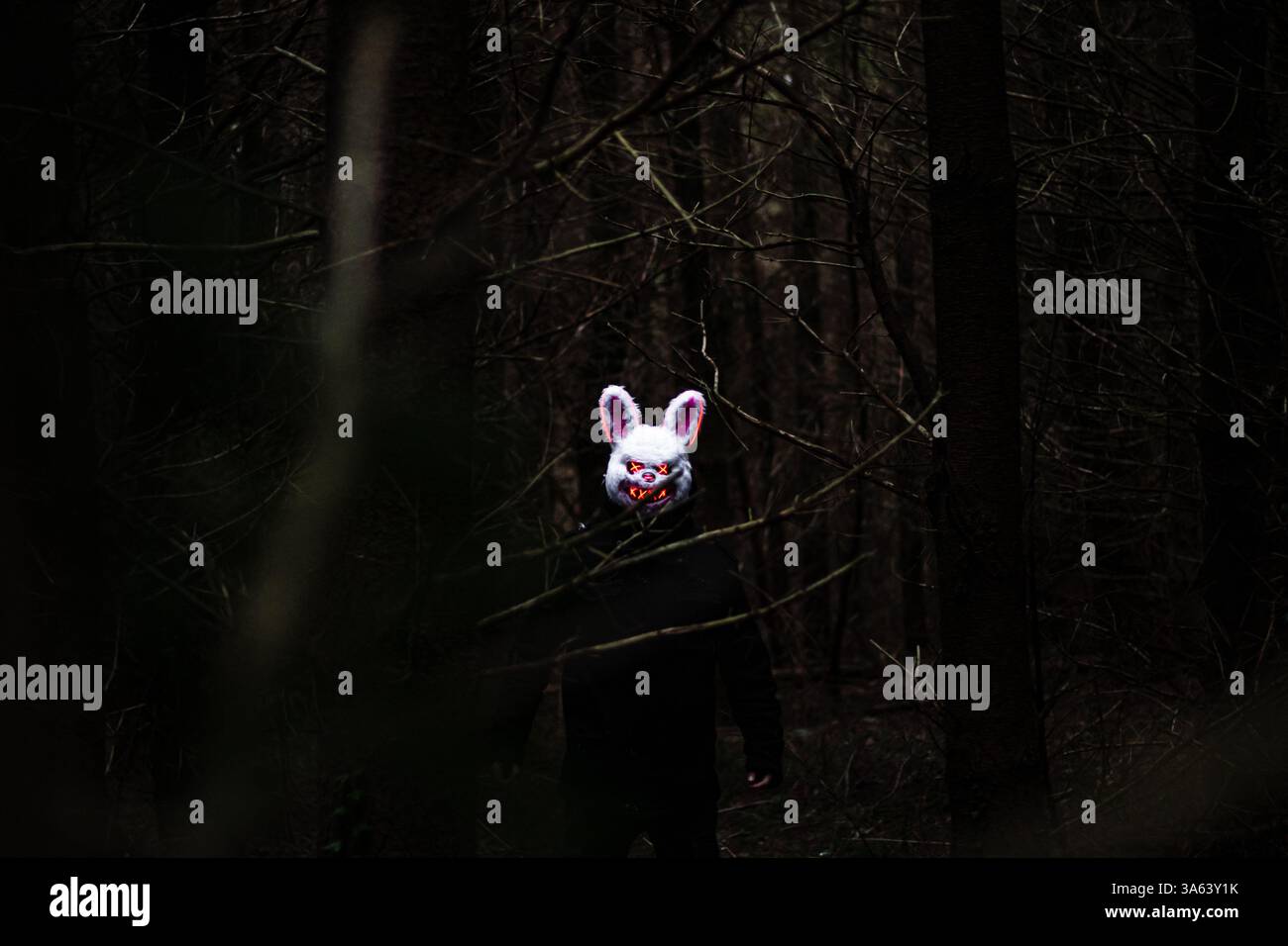 Creepy LED Bunny Mask in Dark Forest - Spooky Halloween Horror Concept ...