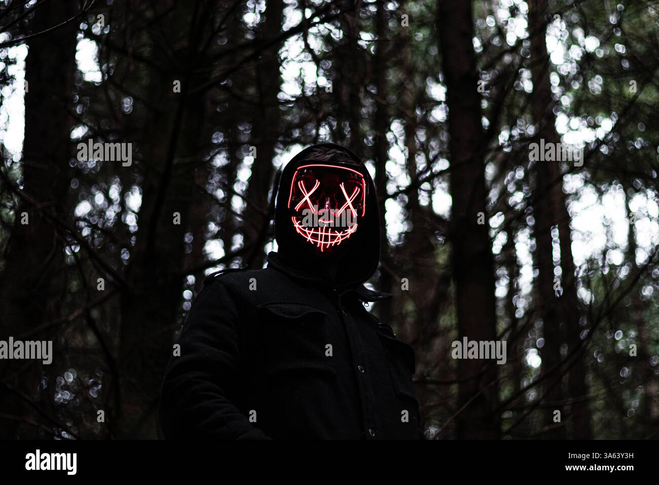 Terrifying LED Bunny Mask Figure Lurking in Dark Forest - Halloween ...