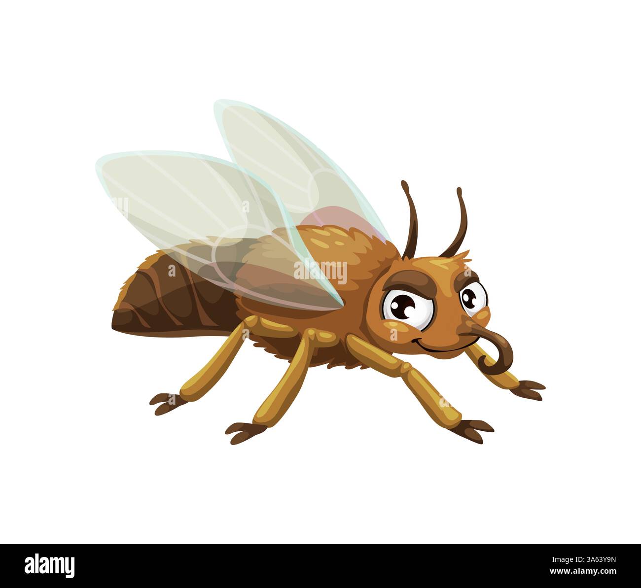 Botfly Stock Vector Images - Alamy