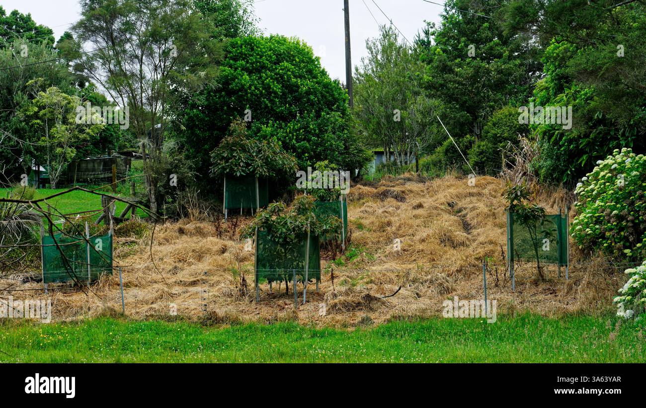 The irony. Herbicide use to kill plants on a bank so that new plants ...