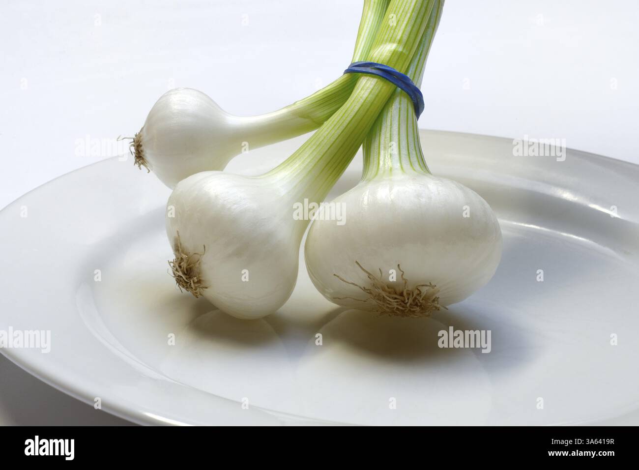 Dishes with green onions hi-res stock photography and images - Alamy