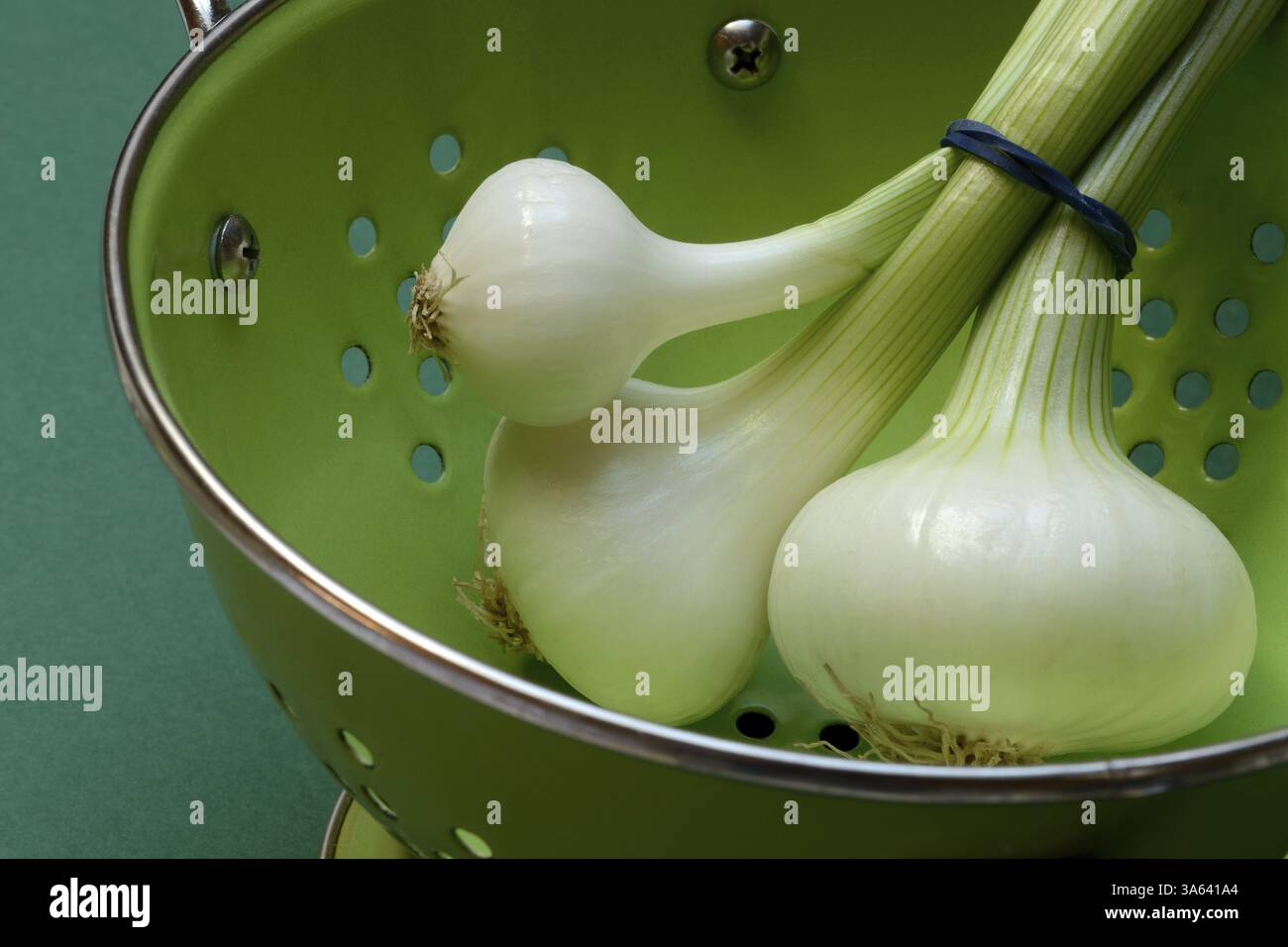 Onion, spring onions in sieve pot Stock Photo - Alamy