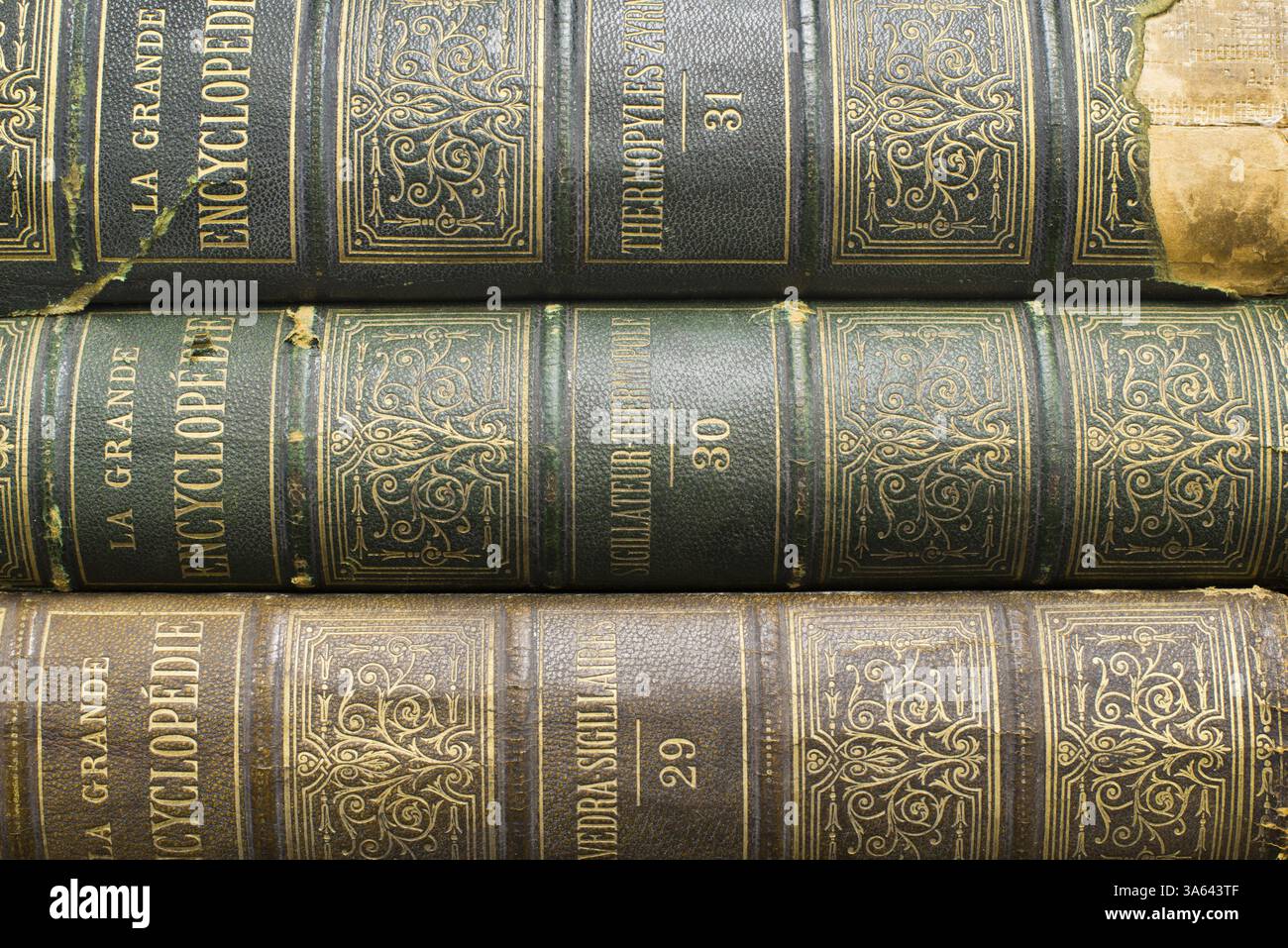 Old books on shelf. French encyclopedia. Close up shot Stock Photo - Alamy
