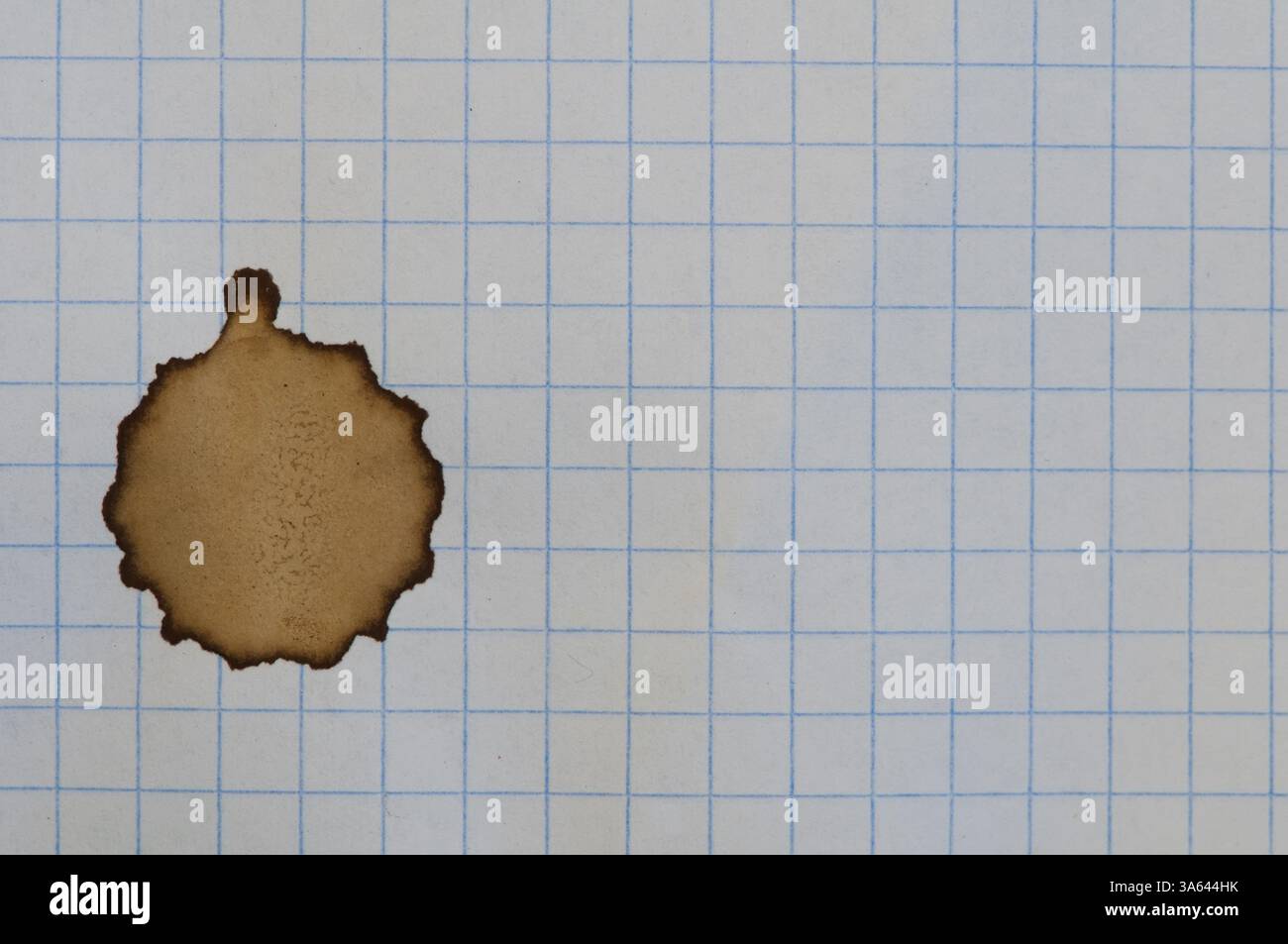 Checkered sheet of paper from a notebook and coffee stain Stock Photo ...