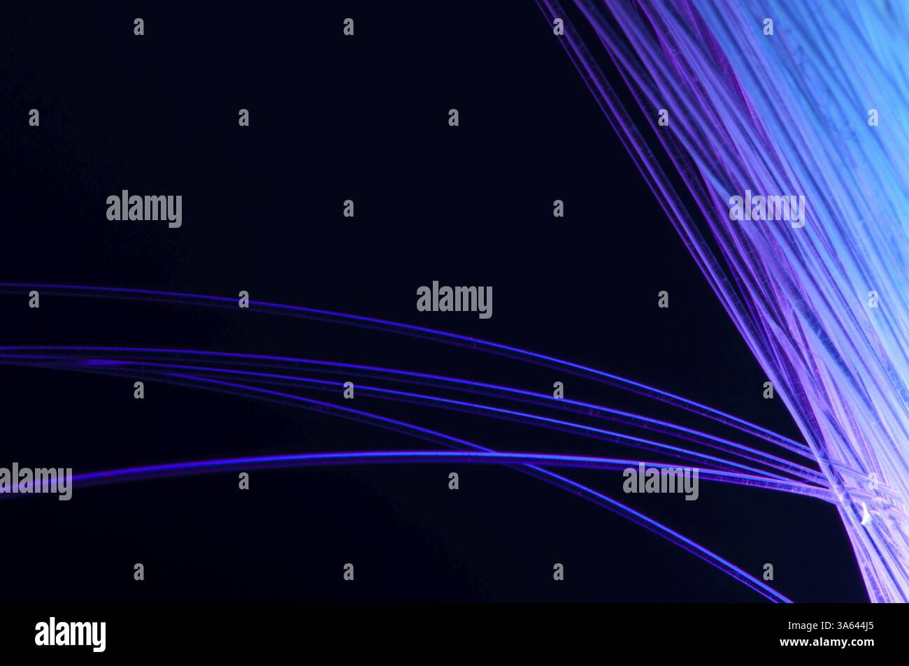 Blue colors optical fibers Stock Photo - Alamy