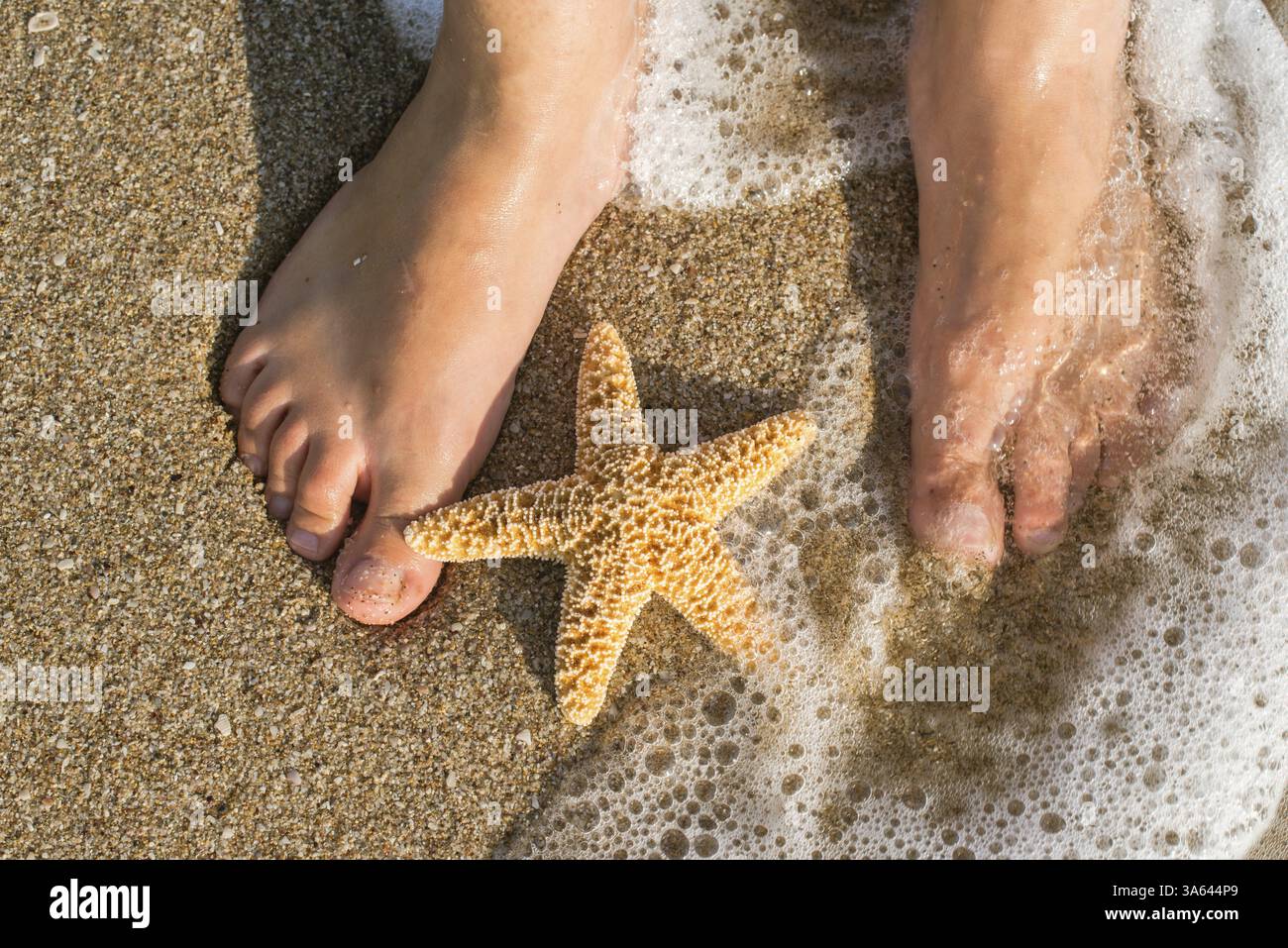 Starfish and feet on the beach. Sea waves Stock Photo - Alamy