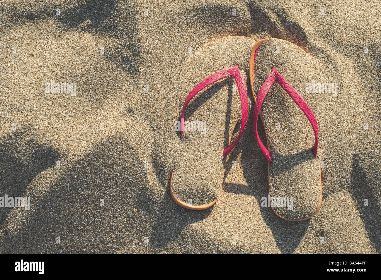 Pink sandals on the beach in the sand Stock Photo - Alamy