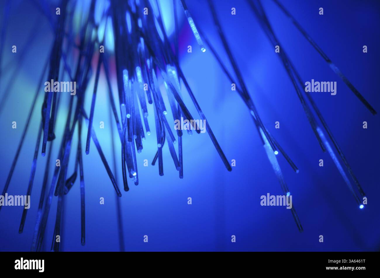 Optical fibers of fiber optic cable. Internet technology.Blue color ...