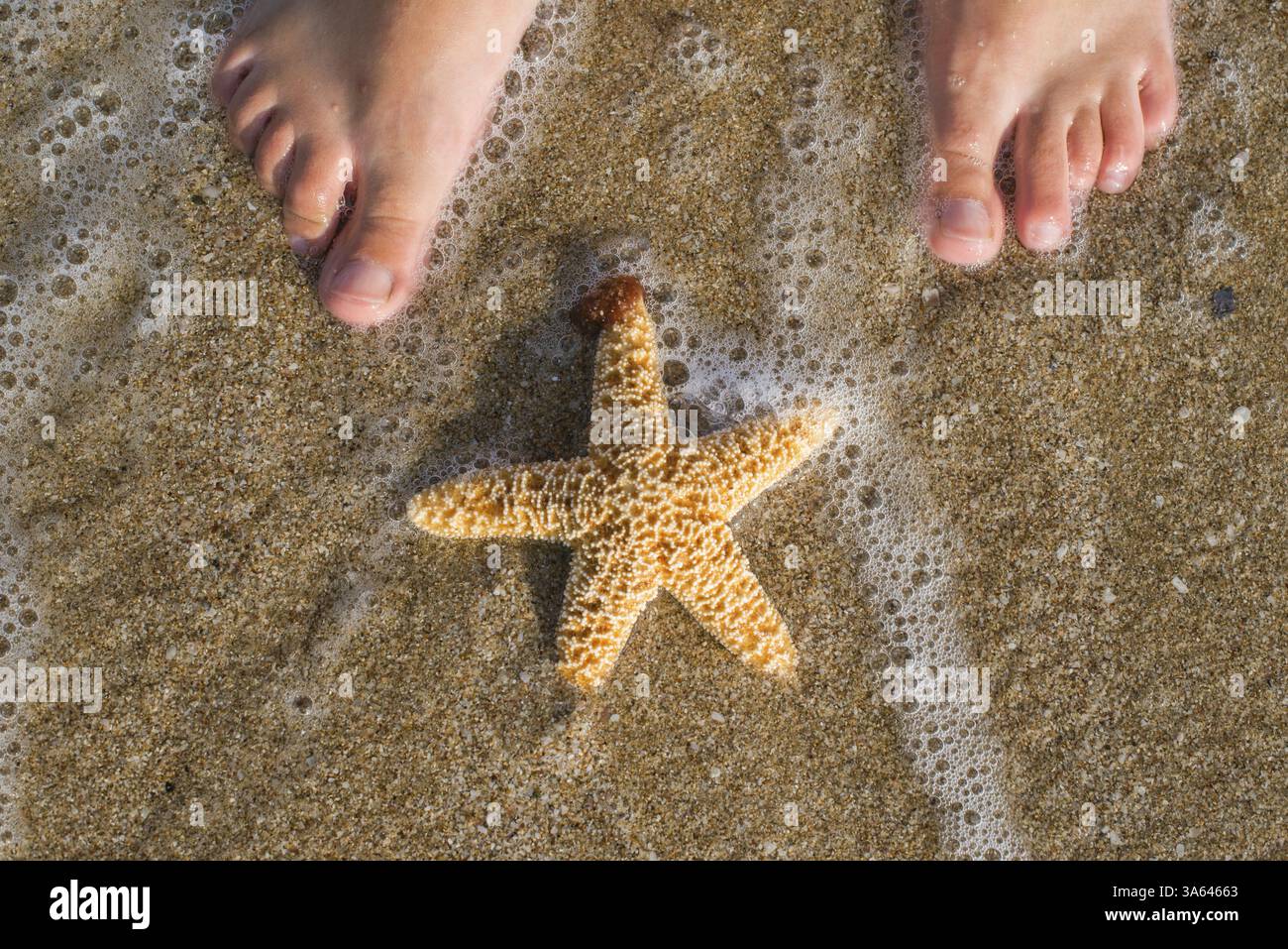 Starfish and feet on the beach. Sea waves Stock Photo - Alamy