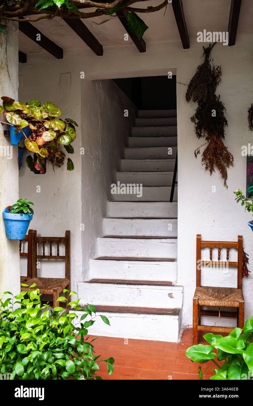 Beautiful rustic Andalusian patio with traditional white stairs and ...