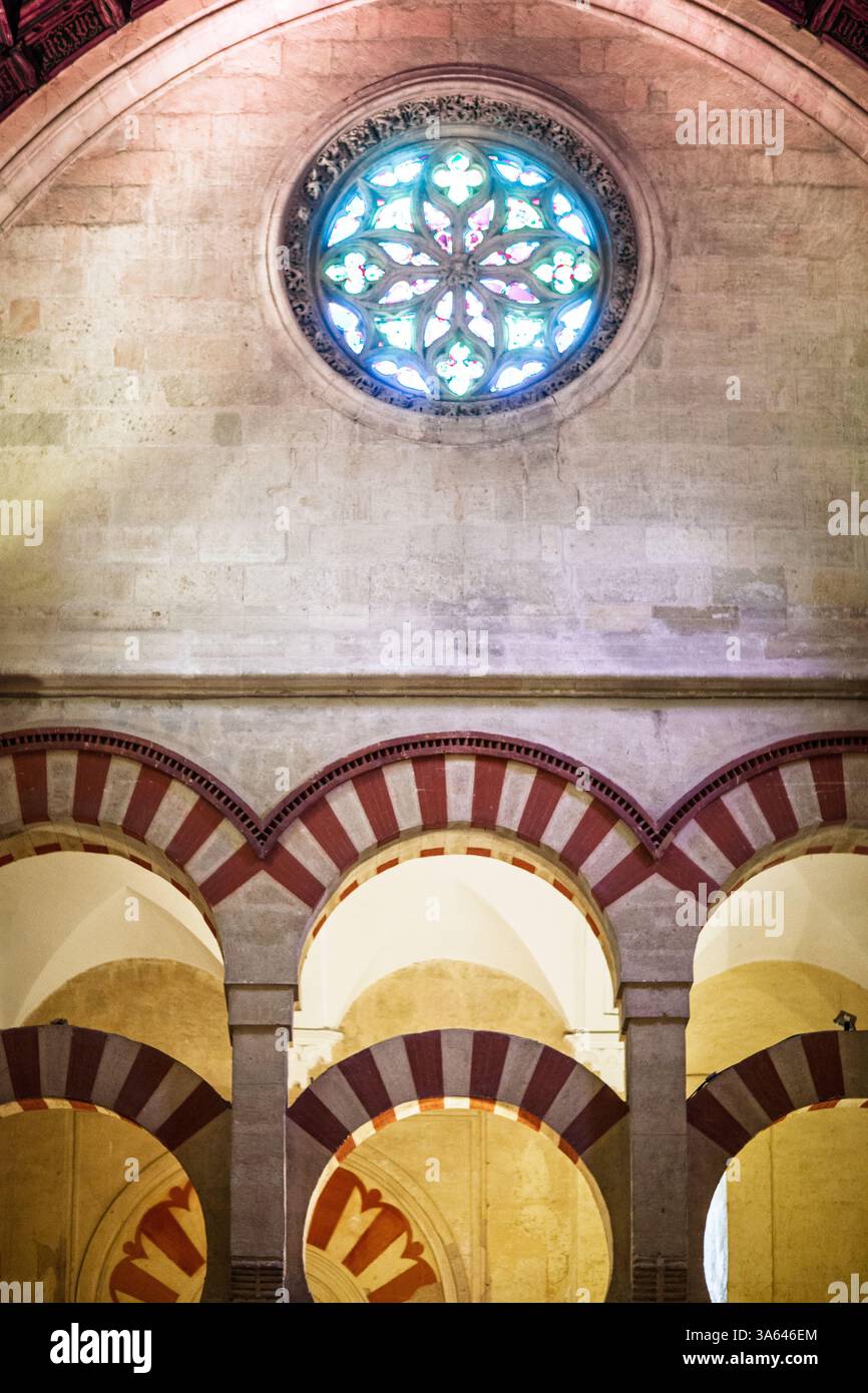 The intricate rose window shines above the stunning arches inside the ...