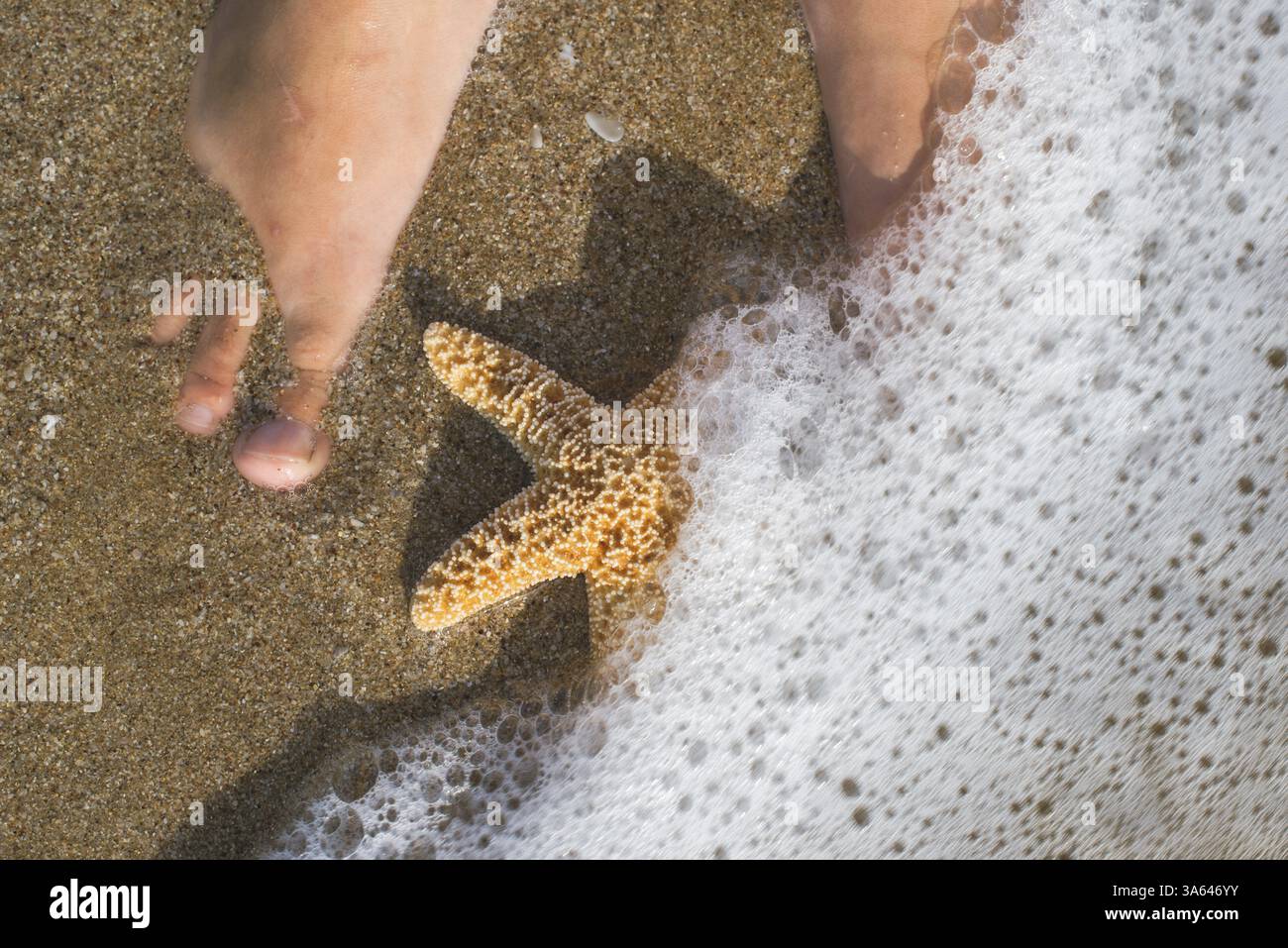 Starfish and feet on the beach. Sea waves Stock Photo - Alamy