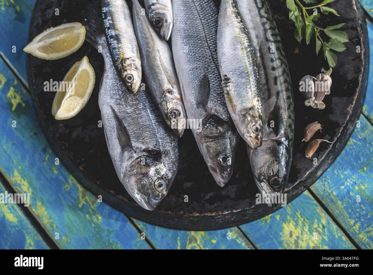 Raw fish. Sea bream, sea bass, mackerel and sardines. Blue wooden ...