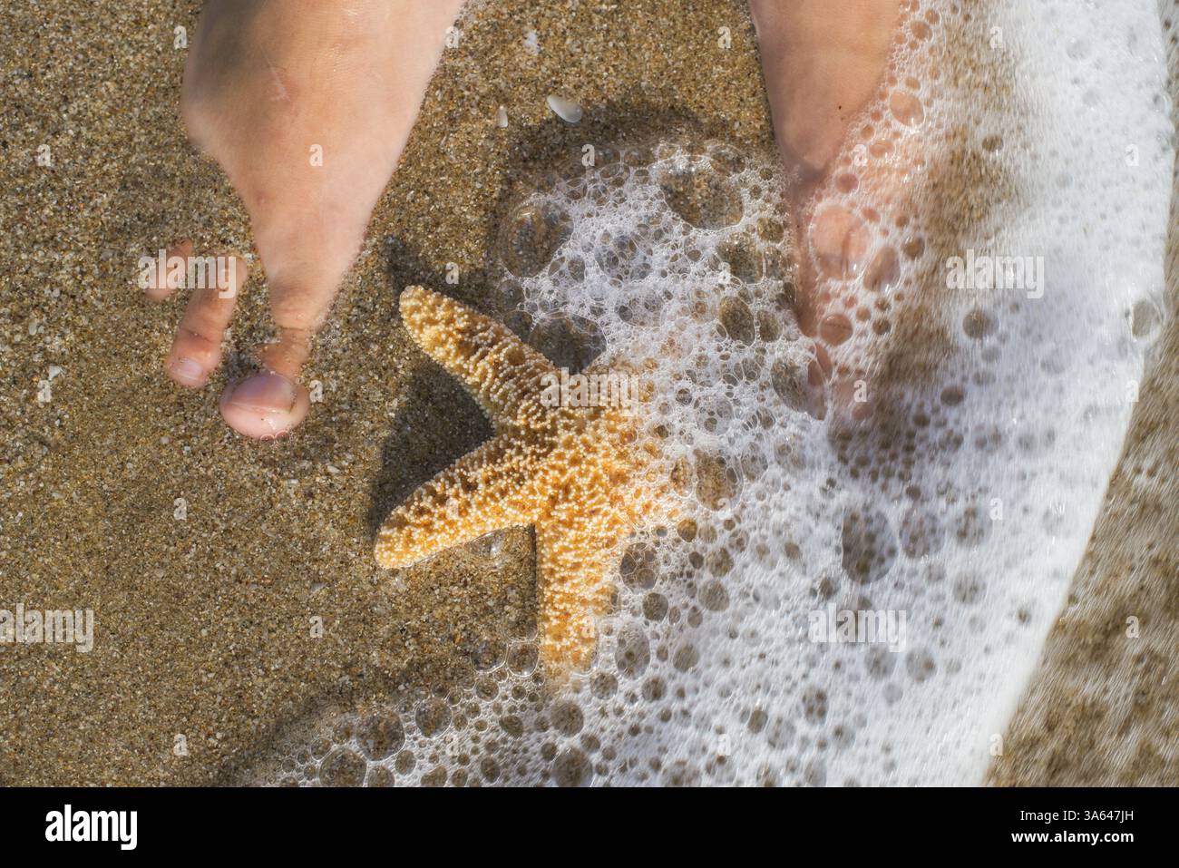 Starfish and feet on the beach. Sea waves Stock Photo - Alamy