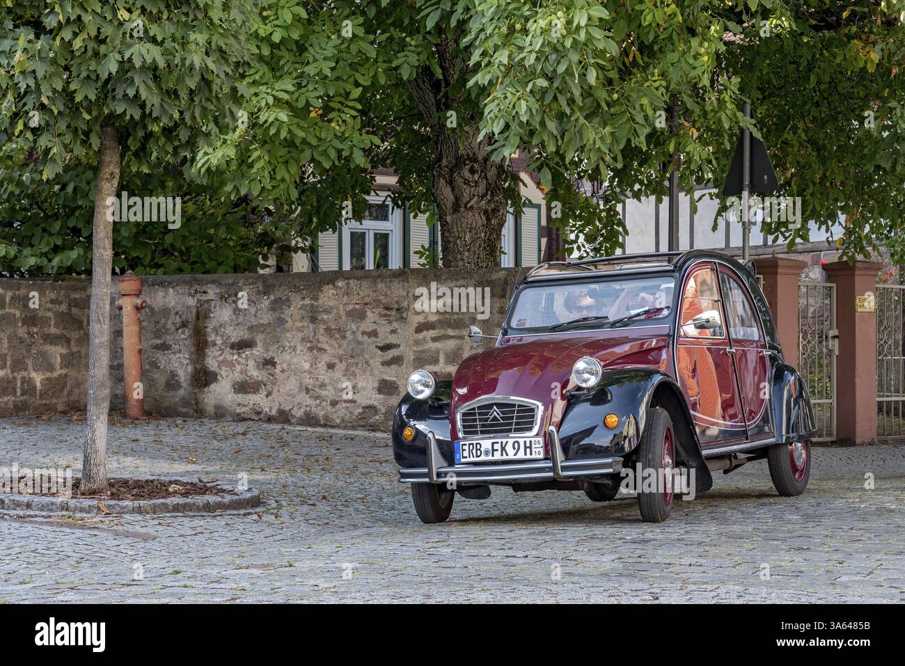 Vintage Citroen 2CV in motion, ugly duck, model Charleston, year of ...