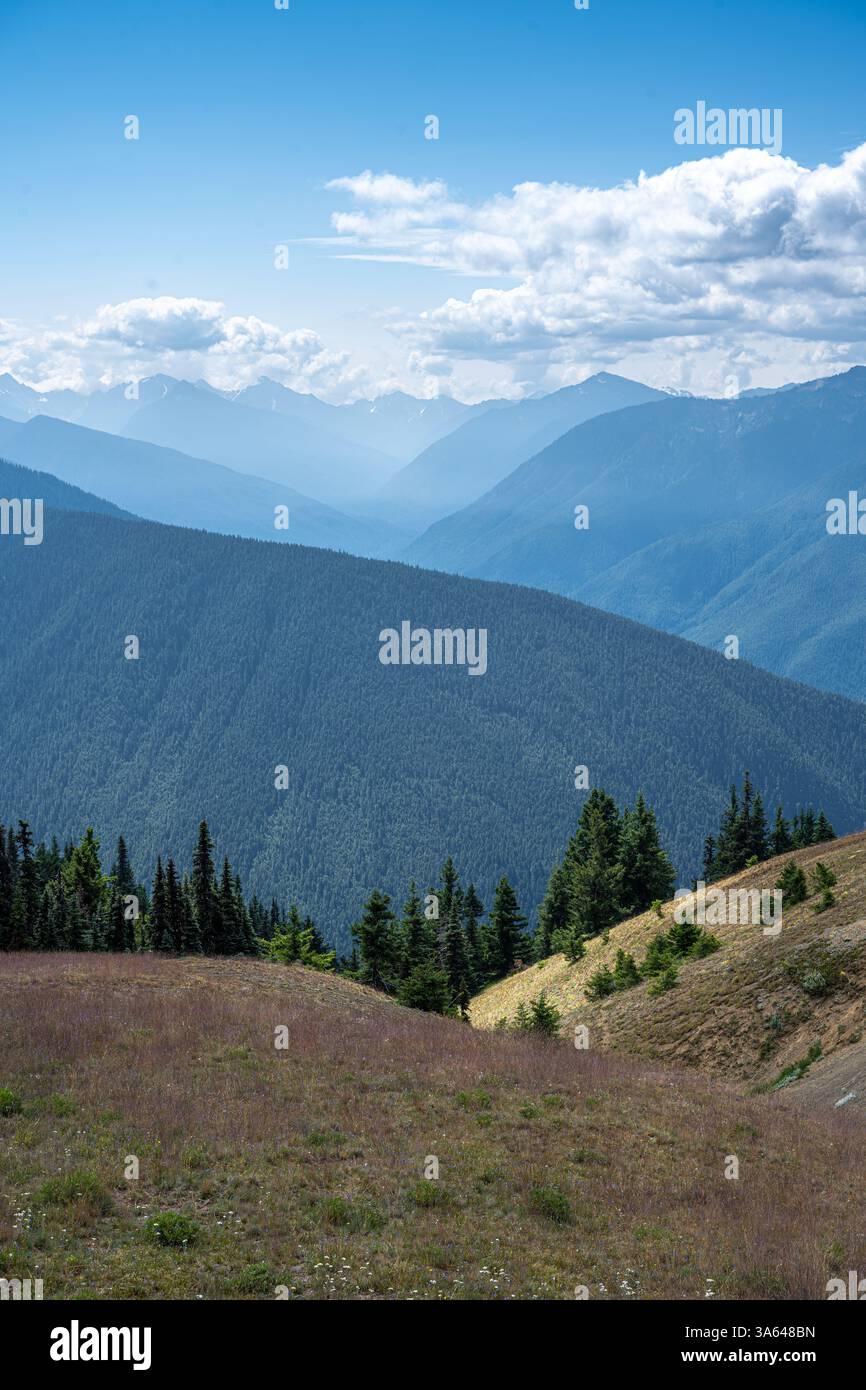 View from the Hurricane Ridge in Olympic National Park, WA Stock Photo ...