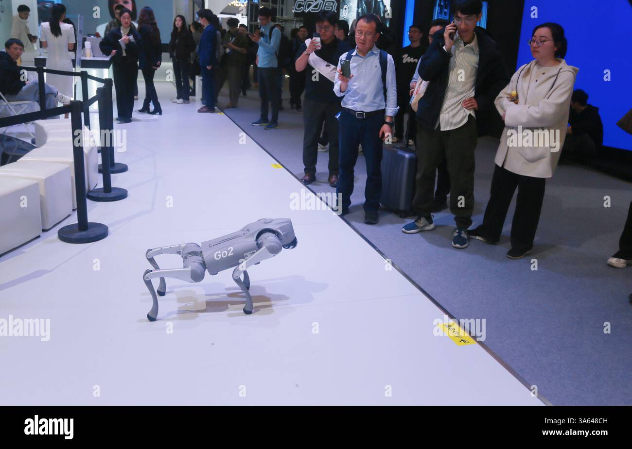 SHANGHAI, CHINA - MARCH 20, 2025 - Visitors visit UNITREE G1 humanoid ...