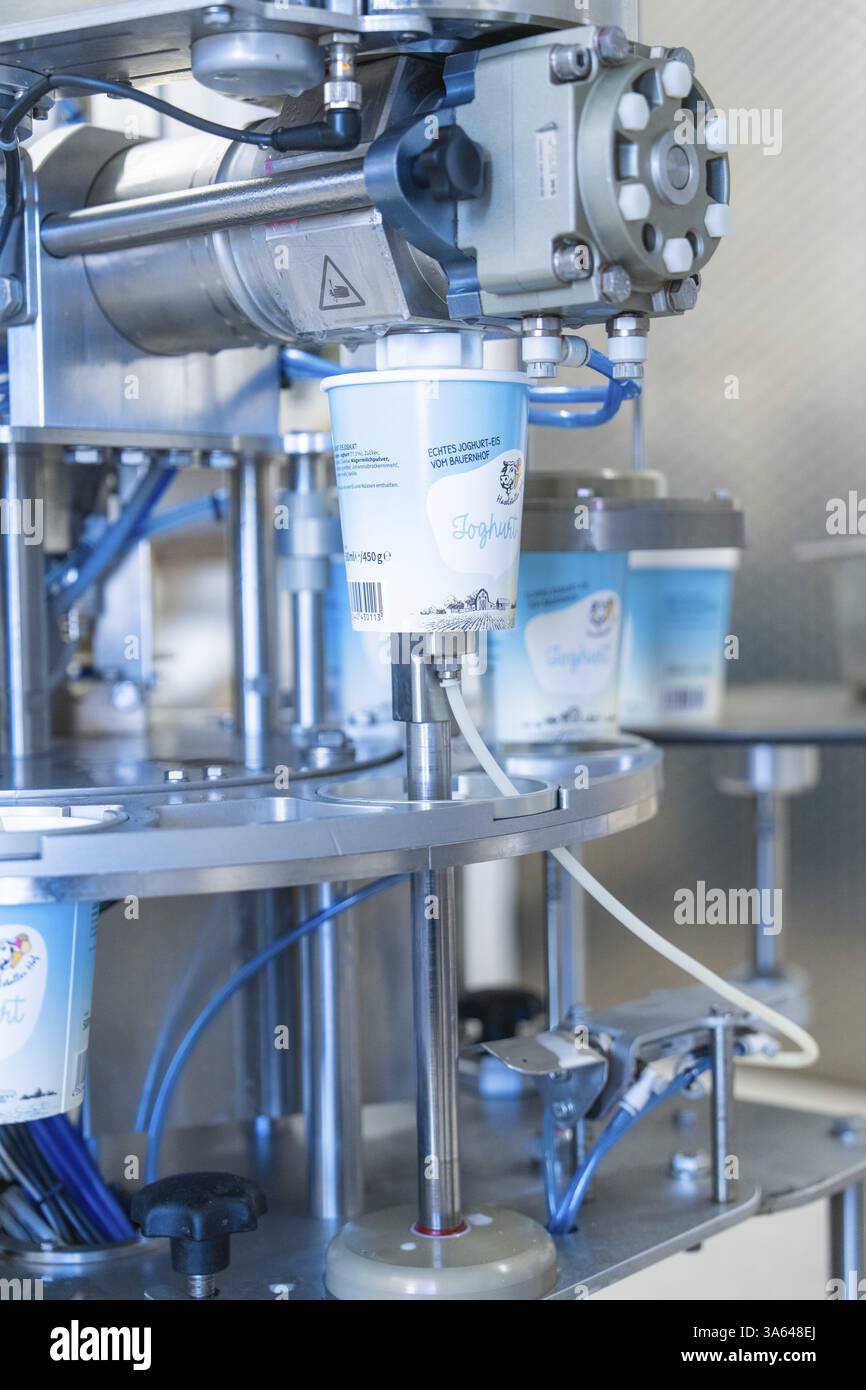 Automatic filling of yoghurt buckets in the factory, ice cream ...