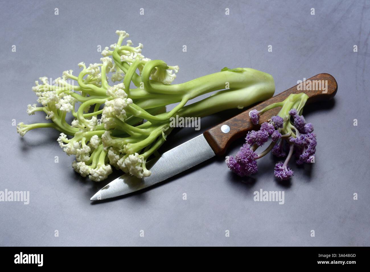Fioretto, a cross between cauliflower and broccoli. The flowers are ...
