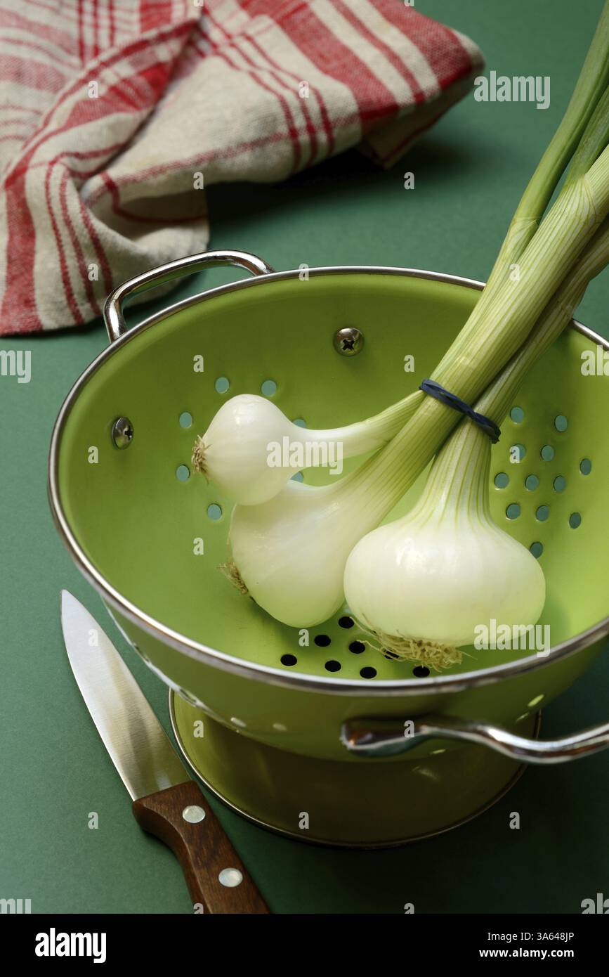 Onion, spring onions in sieve pot Stock Photo - Alamy