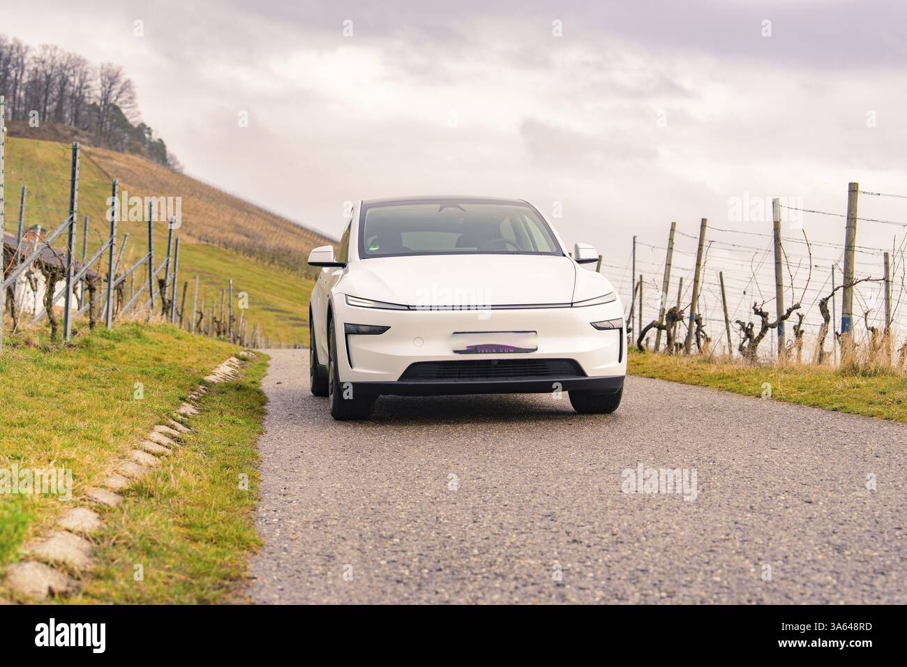 White car driving on rural, slightly winding road with vines, Tesla ...