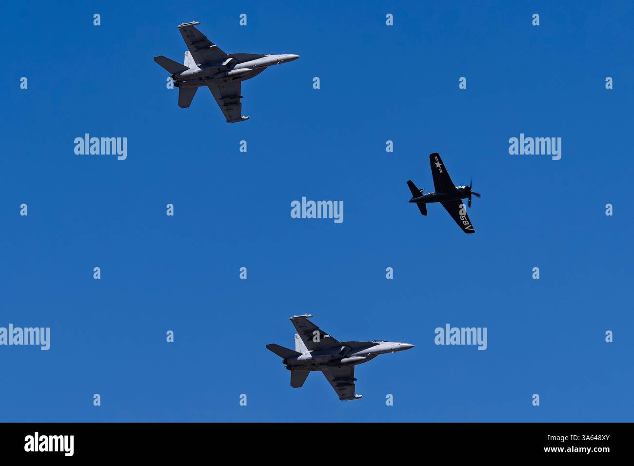 Davis Monthan AFB 3-22-2025 Tucson AZ USA US Navy EA-18G Growler Demo ...