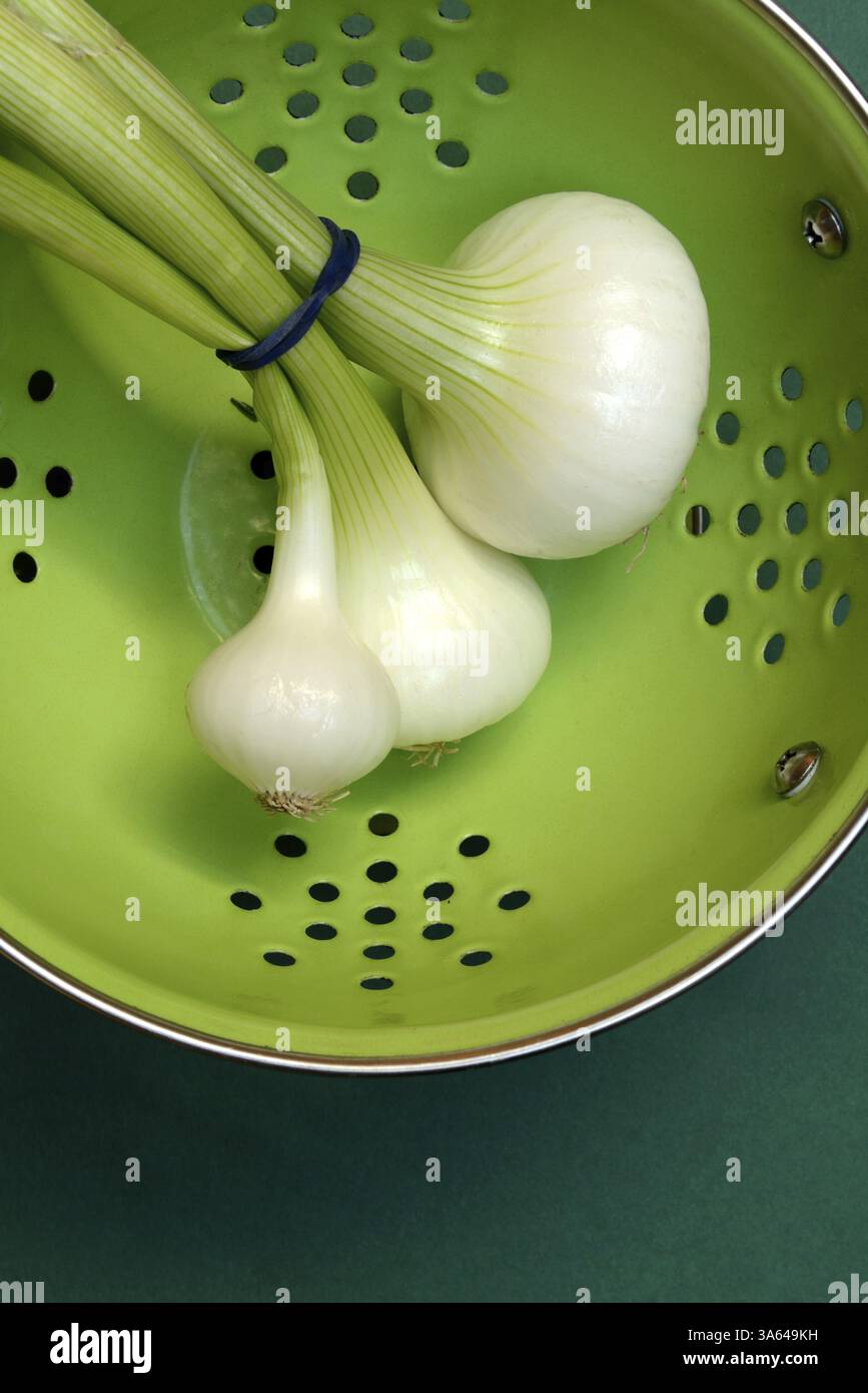 Onion, spring onions in sieve pot Stock Photo - Alamy