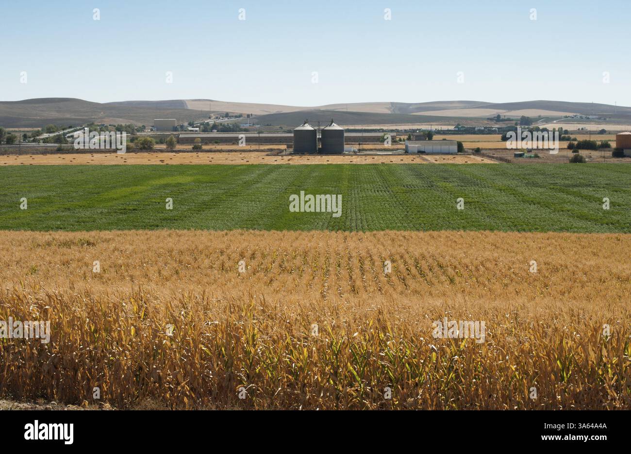 Factory silos plant silo hi-res stock photography and images - Alamy