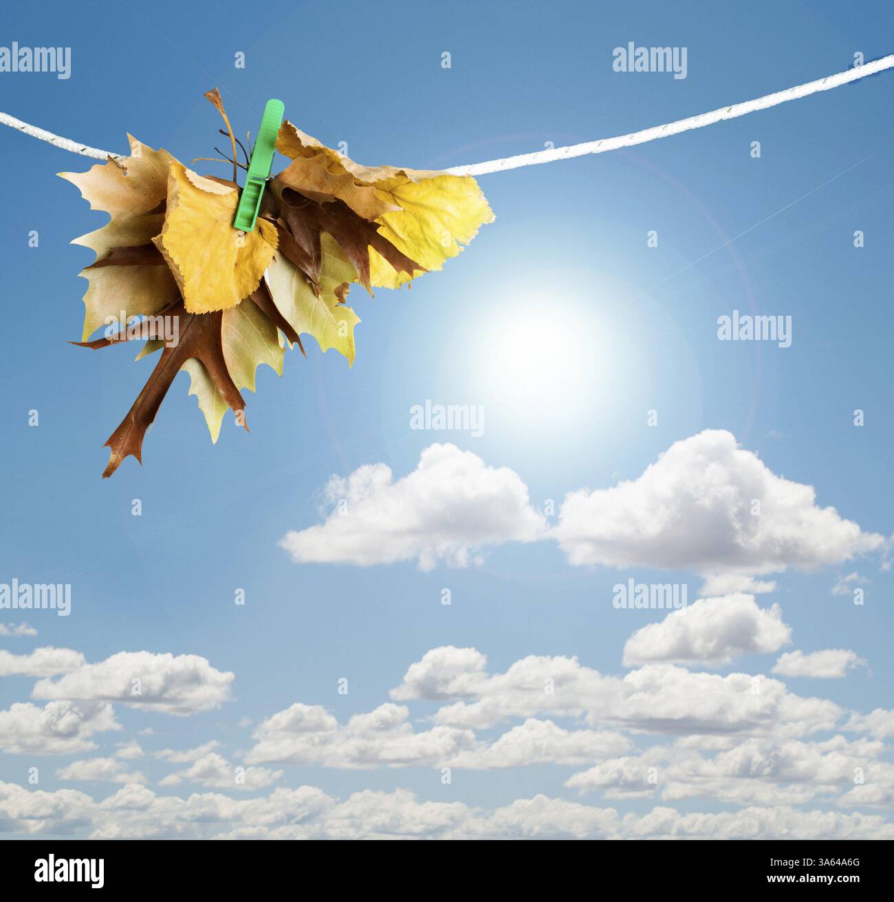 Autumn leaves on a rope. Blue cloudy sky background Stock Photo - Alamy