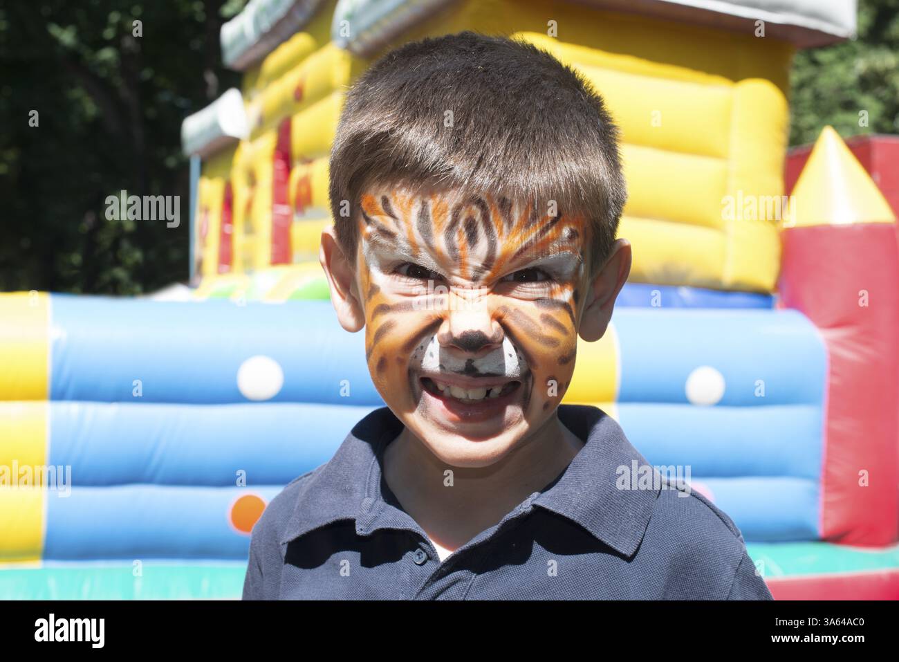 Child with painted face. Tiger paint. Boy on children's holiday Stock ...