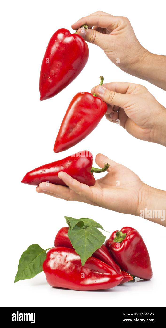 Red peppers and leaves.White isolated studio shot Stock Photo - Alamy