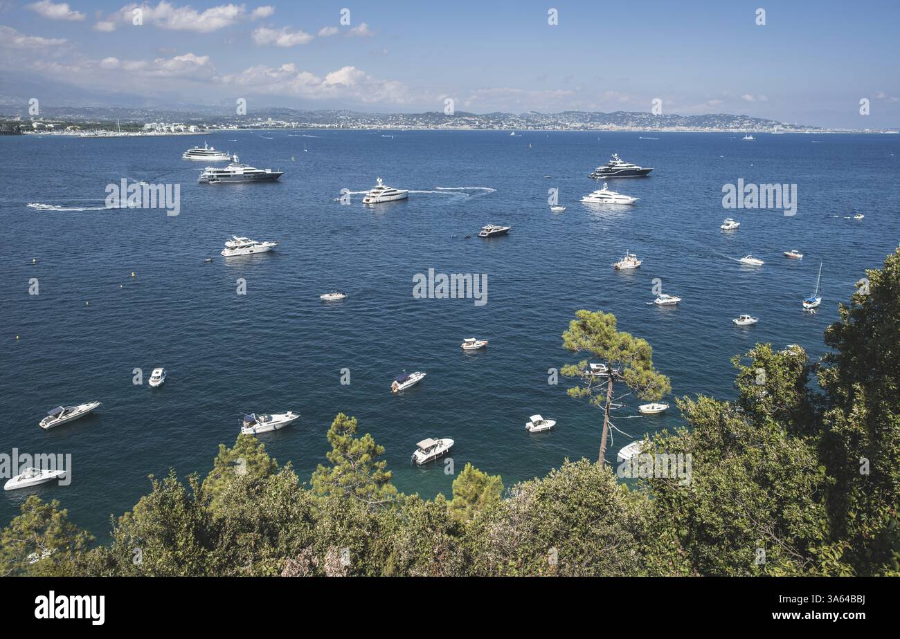 Yachts on the french riviera. View through the branches Stock Photo - Alamy
