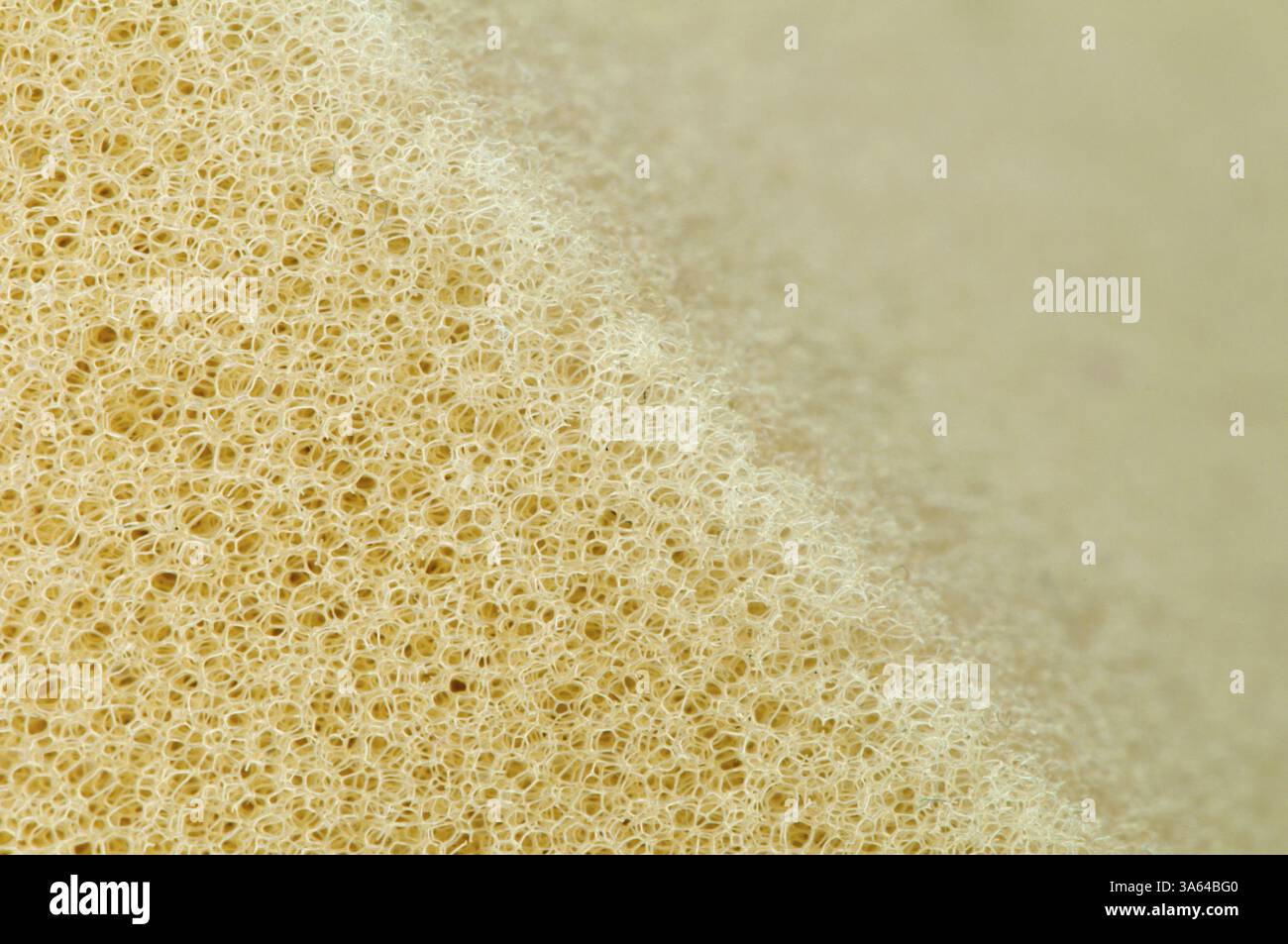 Yellow cleaning sponge foam hi-res stock photography and images - Alamy