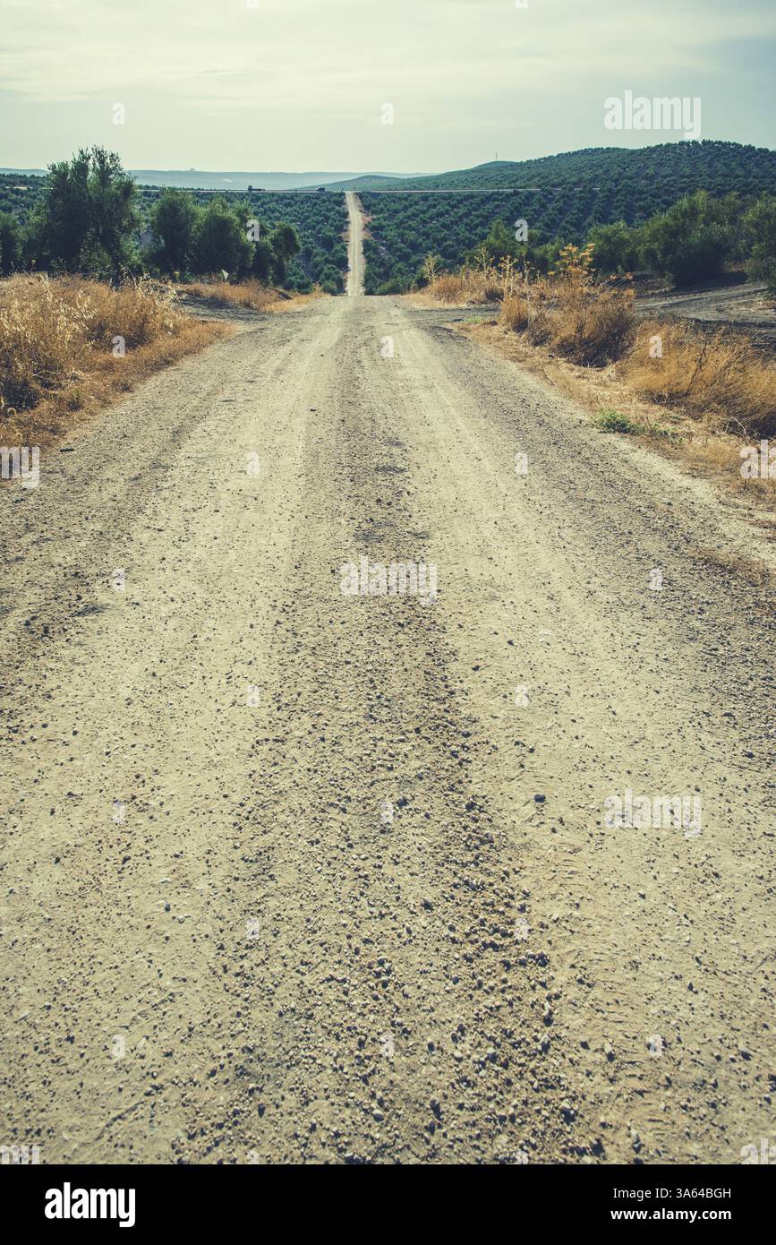 Vintage dirt road and blue sky Stock Photo - Alamy