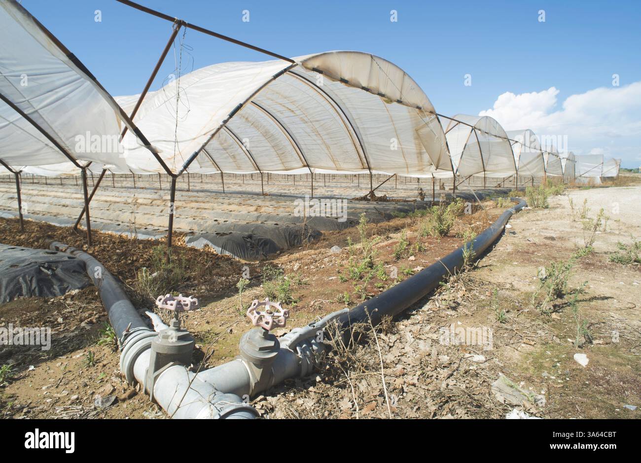 Greenhouse without plants. Sunlight Stock Photo - Alamy