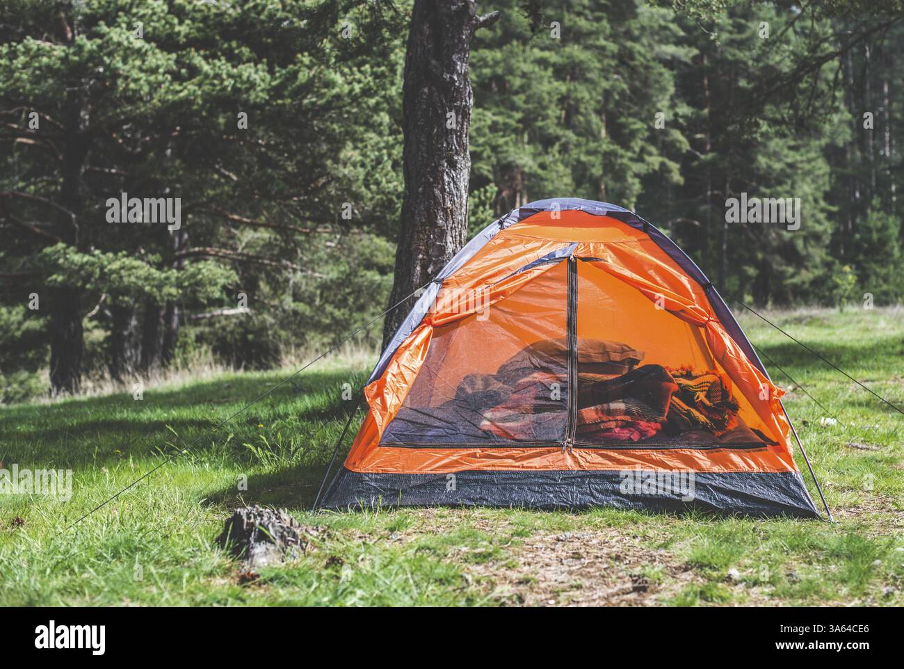 Orange tent in pine hi-res stock photography and images - Alamy