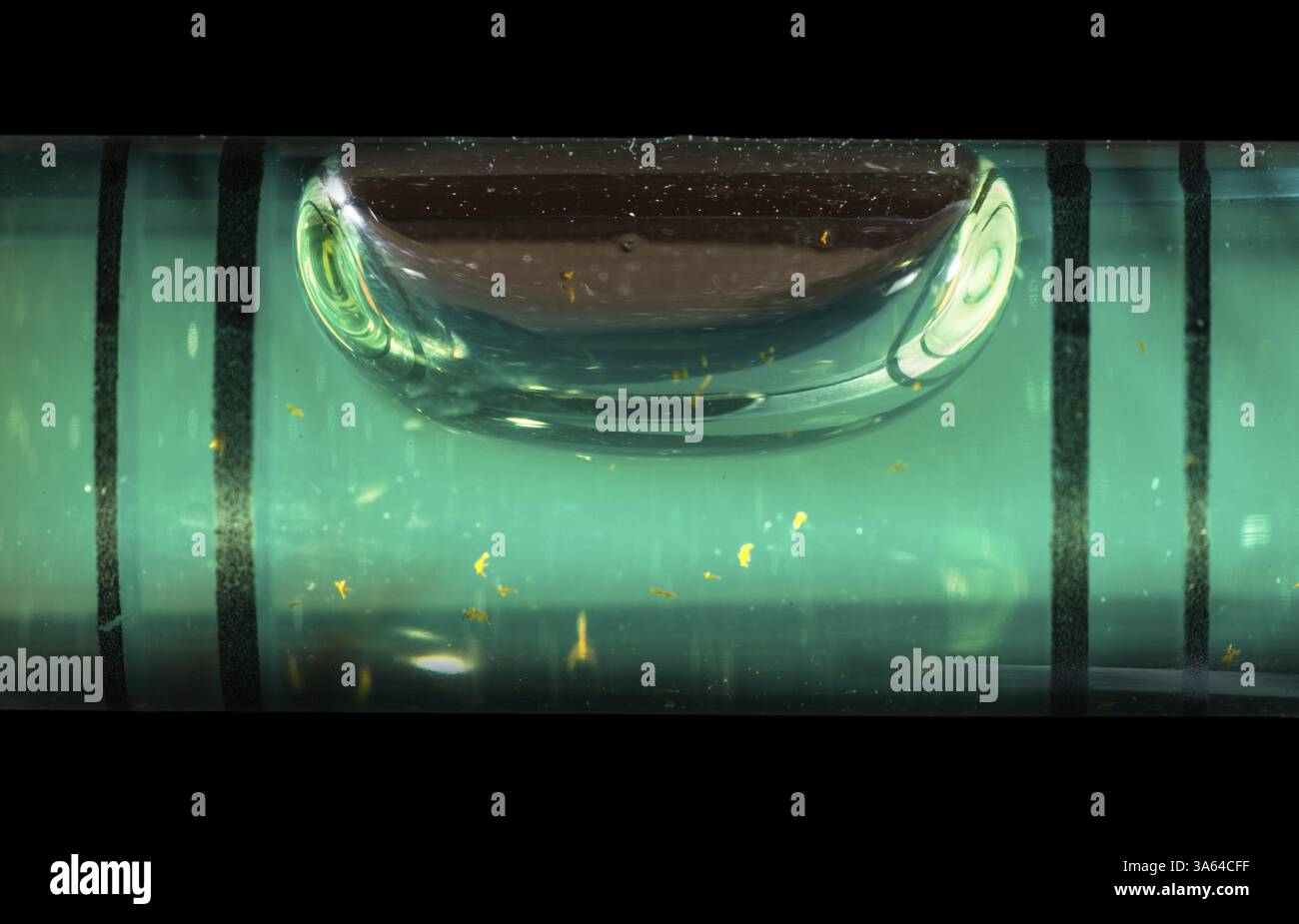 Level tool. Close up macro level measurement Stock Photo - Alamy