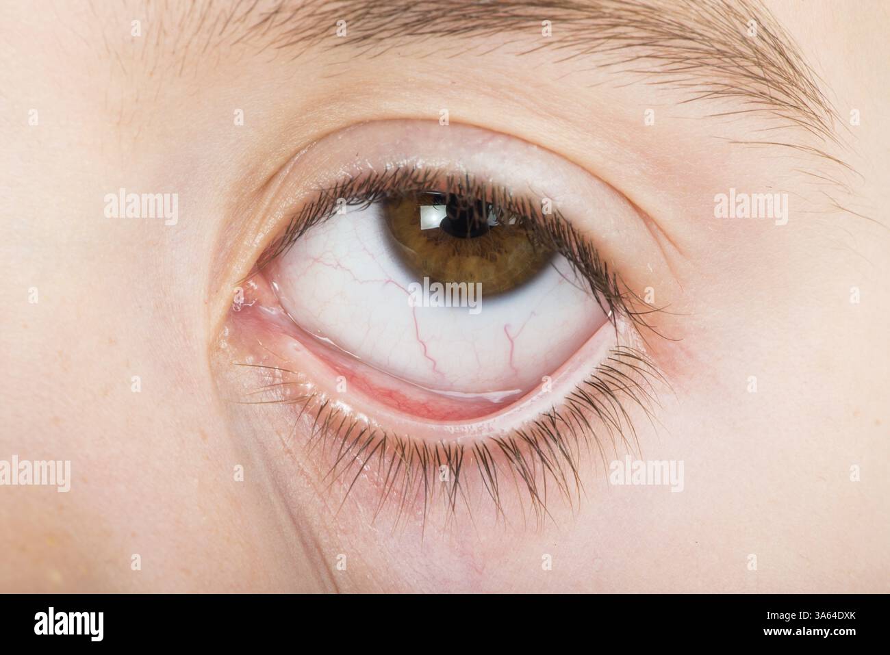 Close up open eye hi-res stock photography and images - Alamy