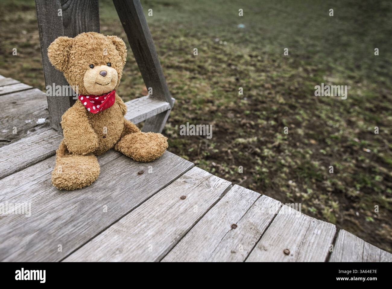 Close up view sitting bear hi-res stock photography and images - Alamy