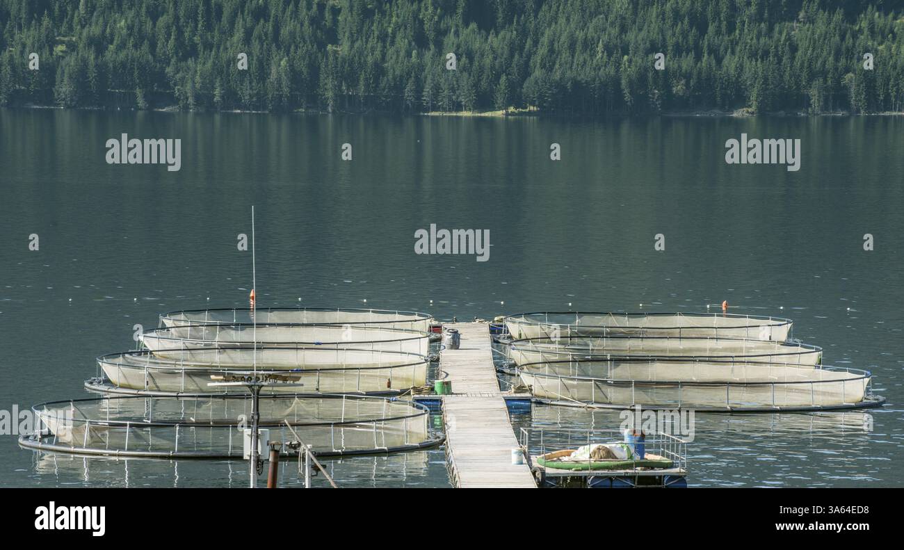 Cages for fish farming in lake Stock Photo - Alamy