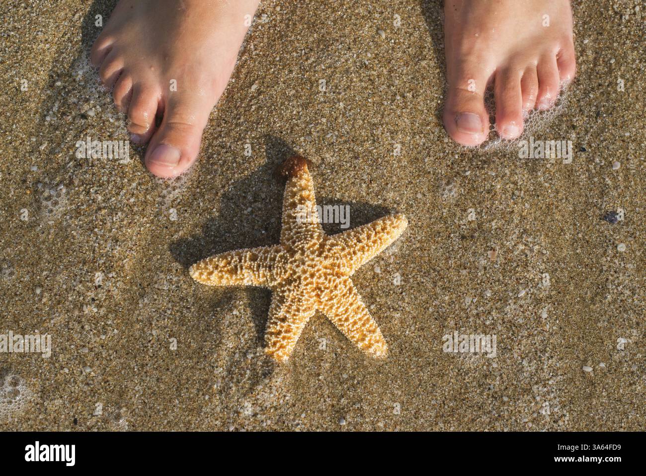 Starfish and feet on the beach. Sea waves Stock Photo - Alamy