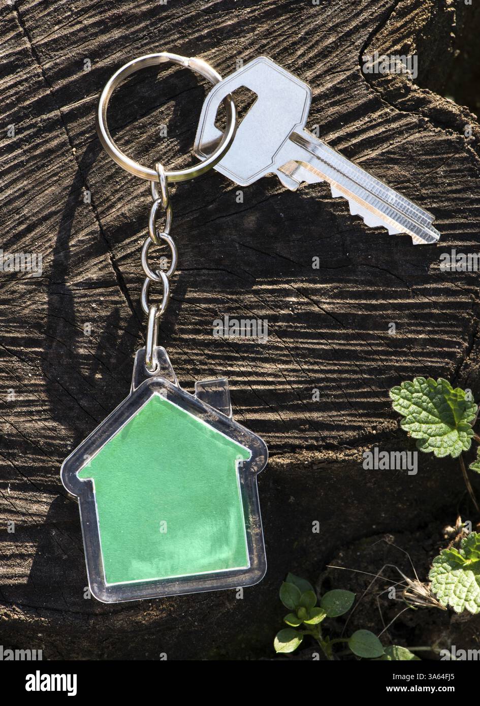 Keychain in a shape of house on wood. Green color house Stock Photo - Alamy